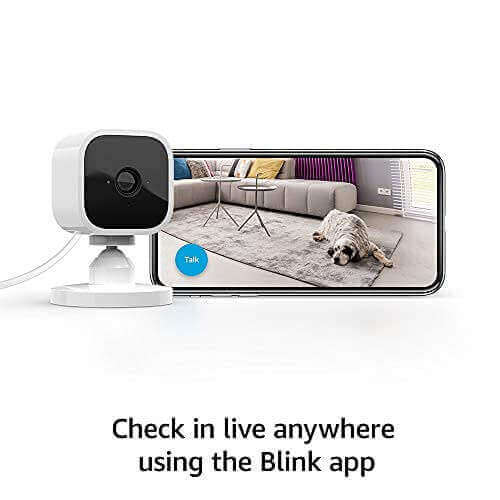 Blink Mini Night Vision Camera: Infrared Night Vision